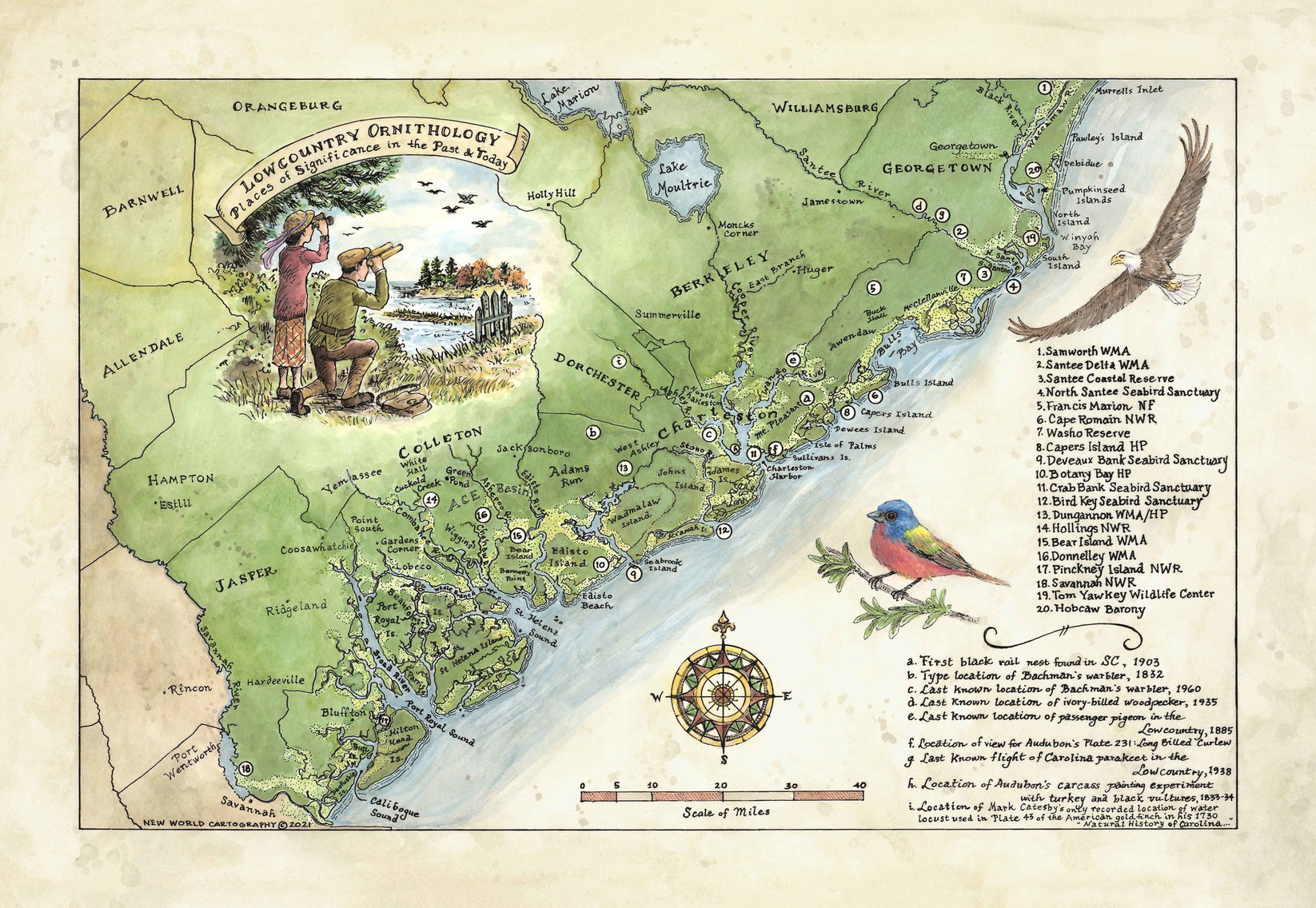 Lowcountry Ornithology – new.world.cartography