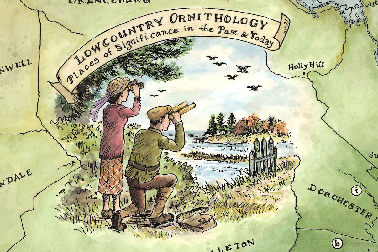 Lowcountry Ornithology – new.world.cartography